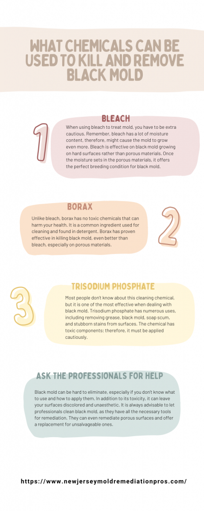 What Chemicals Can Be Used to Kill and Remove Black Mold